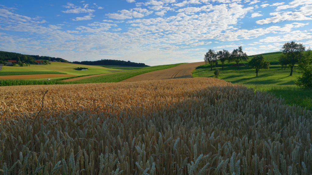Impressive Nature Ortner Effects